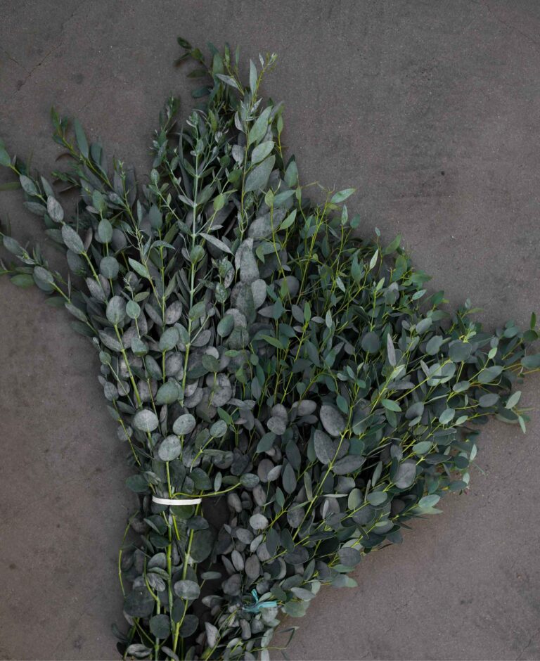 Large Size Flower Arrangement – Made by Patchi