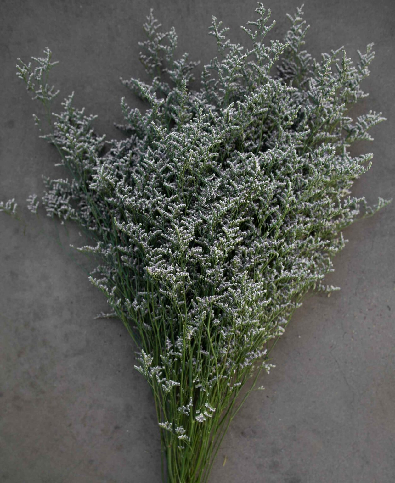 Large Size Flower Arrangement – Made by Patchi